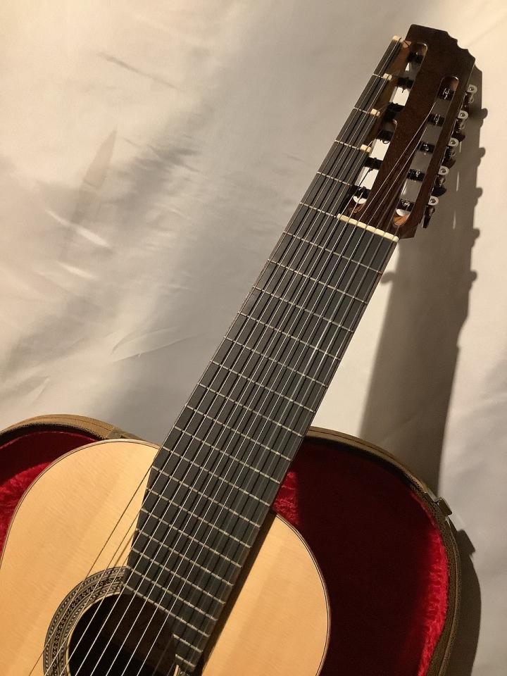 Heikki Rousu 11 str alto guitar 2021【11弦ギター】【スウェーデン製作家ハンドメイド】【池袋店在庫品 ...