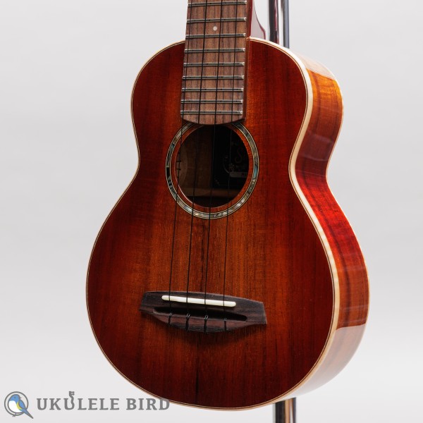 Singer RS1K 新品 1374925 Singer【楽器検索｜Jギター】