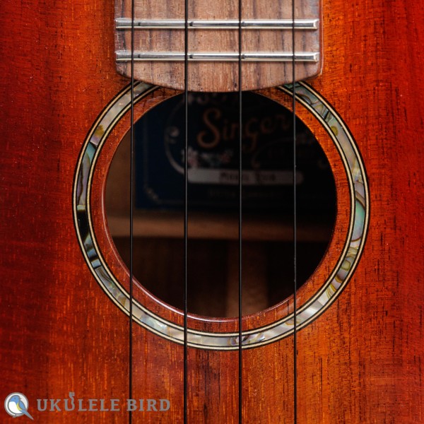 Singer RS1K 新品 1374925 Singer【楽器検索｜Jギター】