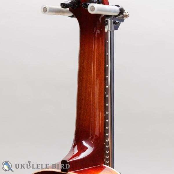 Singer RS1K 新品 1374925 Singer【楽器検索｜Jギター】