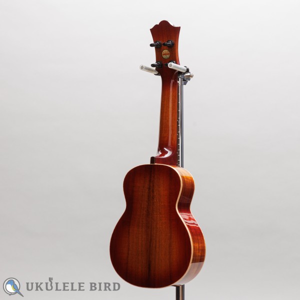 Singer RS1K 新品 1374925 Singer【楽器検索｜Jギター】