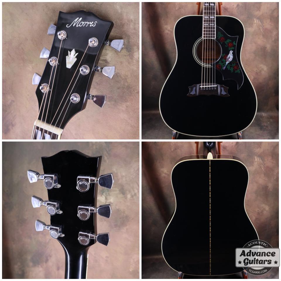 Morris 1970~1980s WD-35 1980年頃 中古 1408006 Morris(モーリス)【楽器検索｜Jギター】