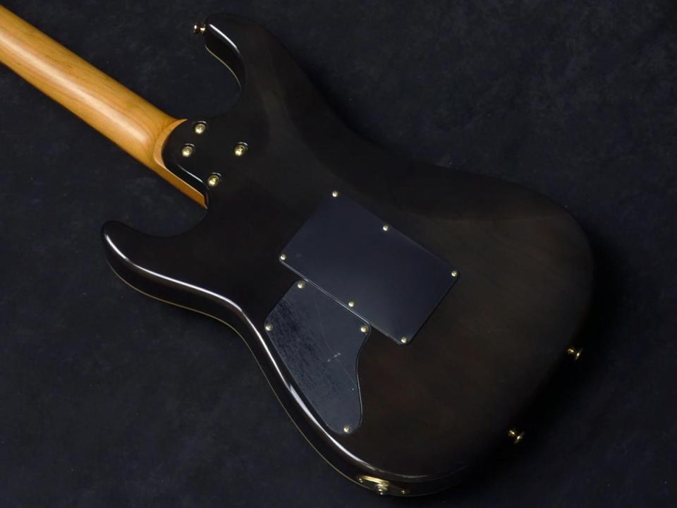 SCHECTER NV-3-22-AL Flame Maple Top Tyger Eye Burst【オーダーモデル】 新品 1309916 ...