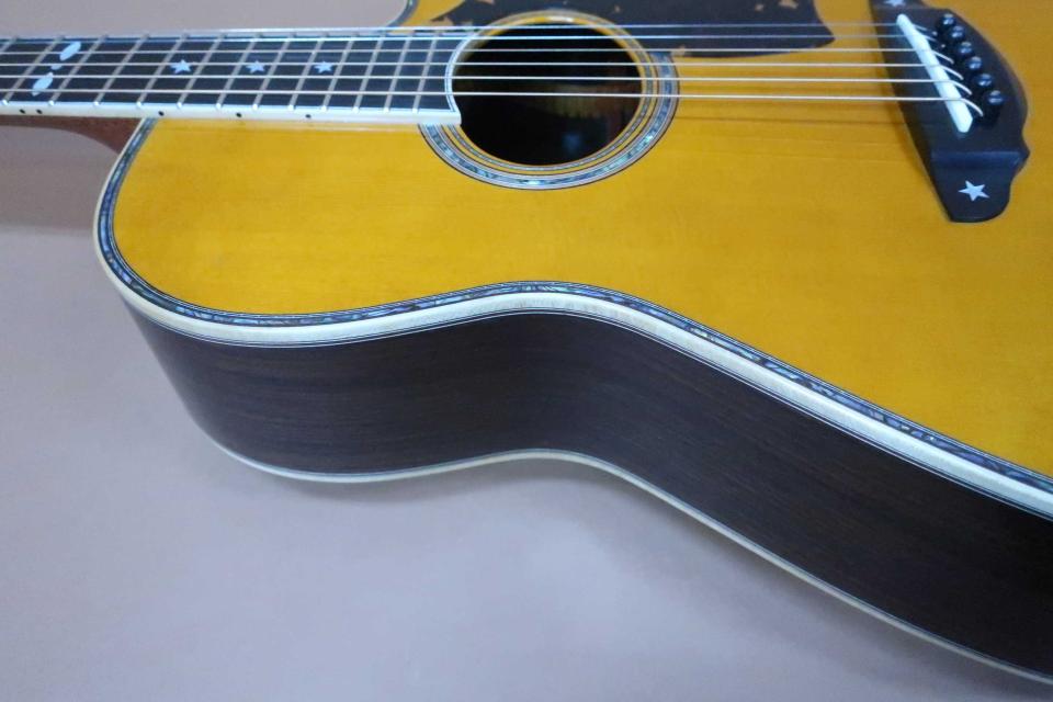 TSK NO.8 Not Aged 本鼈甲 Pick-guard 【坂崎幸之助・Terry 中本】 / Goth 510 Gold Peg・Head and Top and Back ...