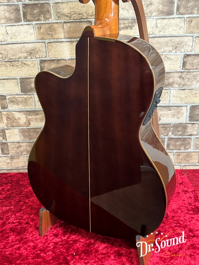 Paco Castillo パコ・カスティージョ 222CE Narrow Neck【細ネック】 2024年 新品 1356133 Paco ...