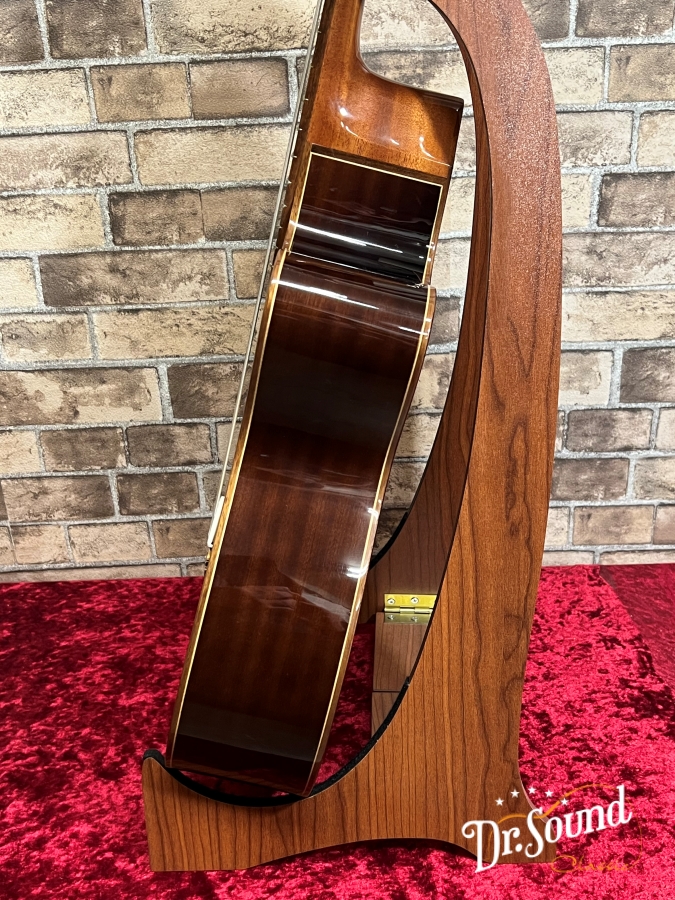 Paco Castillo パコ・カスティージョ 222CE Narrow Neck【細ネック】 2024年 新品 1356133 Paco ...