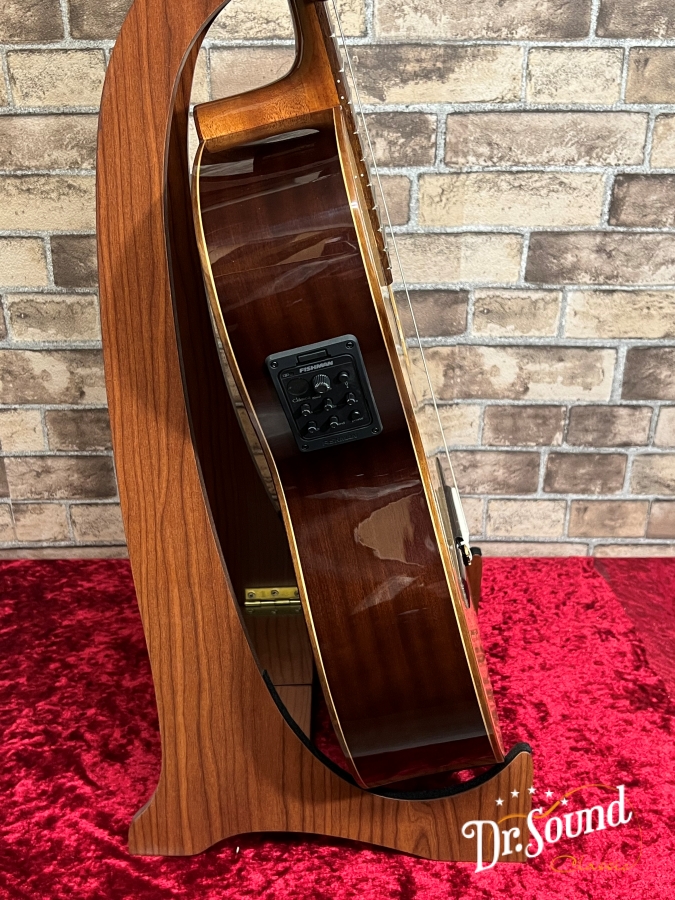 Paco Castillo パコ・カスティージョ 222CE Narrow Neck【細ネック】 2024年 新品 1356133 Paco ...